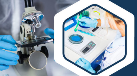 About Us - Solvera Labs